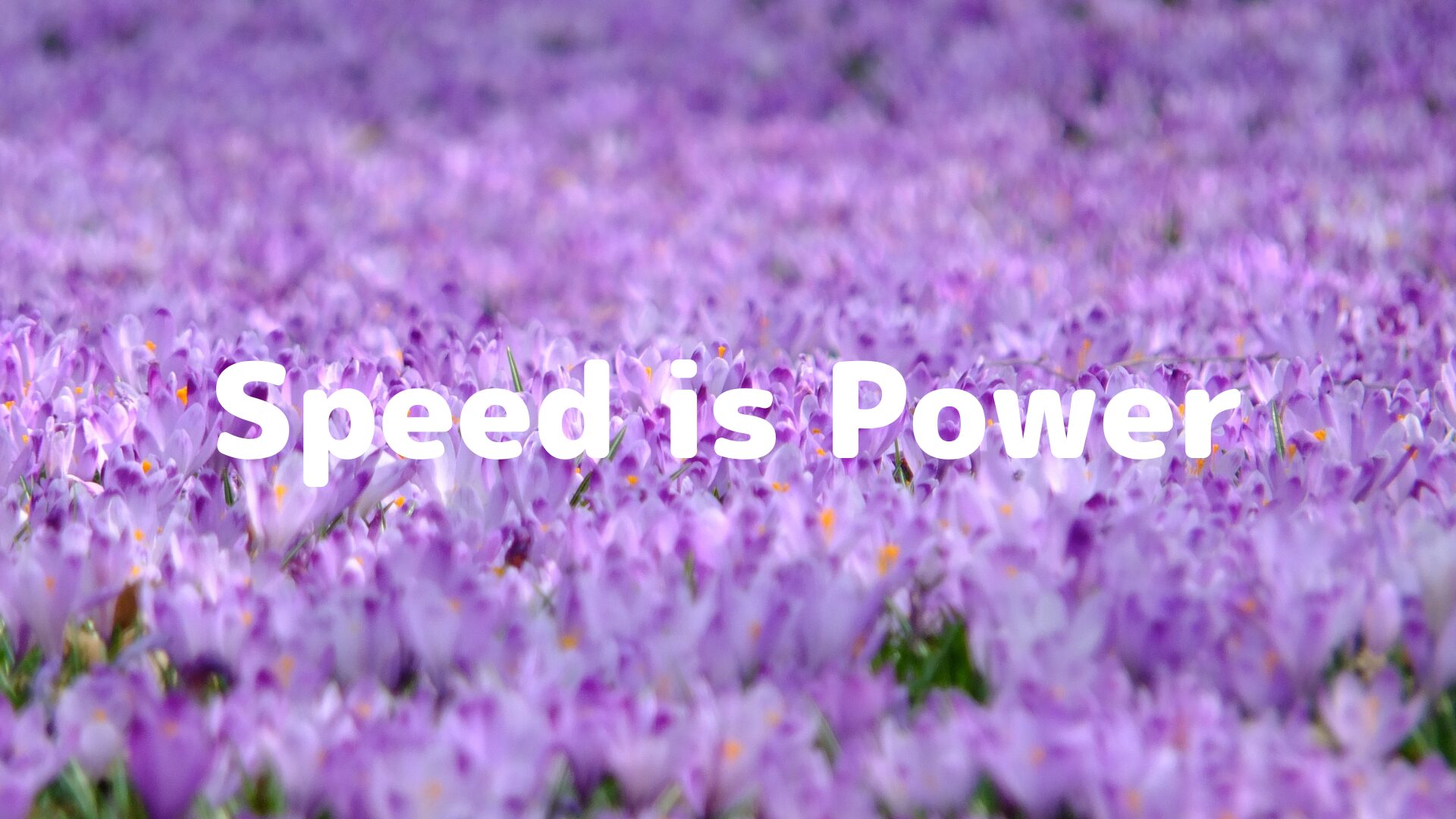 Speed is Power | 遊 学 館
